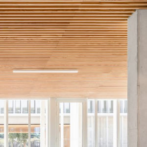 Solid wood suspended ceiling - LINEA SHAPE - LAUDESCHER - mineral wool ...