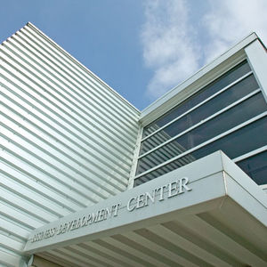 Panel cladding - STYLE-RIB - Centria Architectural Systems - galvanised ...