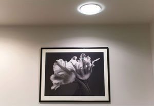 Recessed downlight - TWIST & LOCK - Orlight - halogen / LED / round