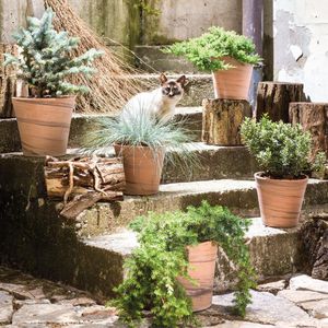 Terracotta plant pot - DUO GRAFITE : 3R-J-99 - Deroma - conical / round