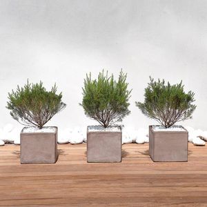 Terracotta plant pot - OLIVE : TG6-N - Deroma - conical / round