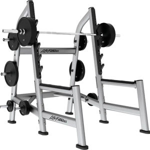 Leg raise weight training machine - LBR-LR - Life Fitness - indoor ...
