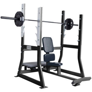 Leg raise weight training machine - LBR-LR - Life Fitness - indoor ...