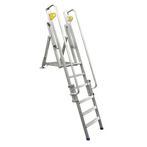 Access professional ladder - API INDIVIDUAL DOUBLE WALL ACCESS - DUARIB ...