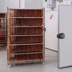 Commercial pasta dryer - T350 - LA PARMIGIANA S.R.L.