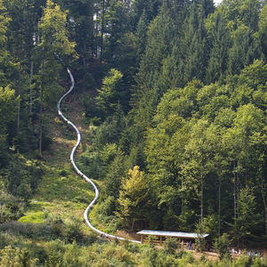 Curved slide - TREE TOP WALK LIPNO - atlantics GmbH - for playground ...