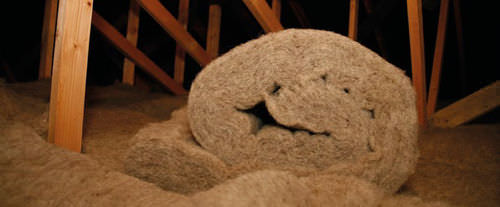 Thermal insulation - NATUWOOL - Black Mountain - sheep wool / roll ...