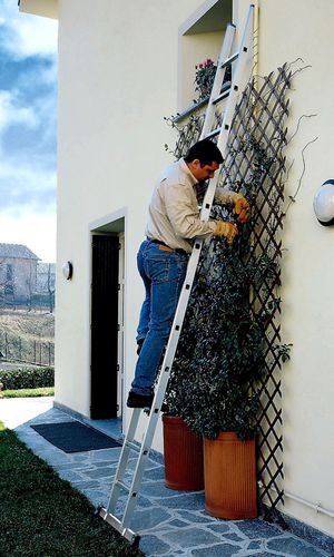 Work ladder - 680N - Frigerio Carpenterie - leaning / aluminum ...