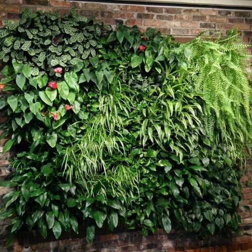 Living wall with live plants - MODULOGREEN® - BY NATURE - modular-panel ...