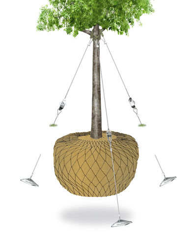 Above-ground rootball fixing system - G0 / G1 / G2 / G3 - Platipus ...