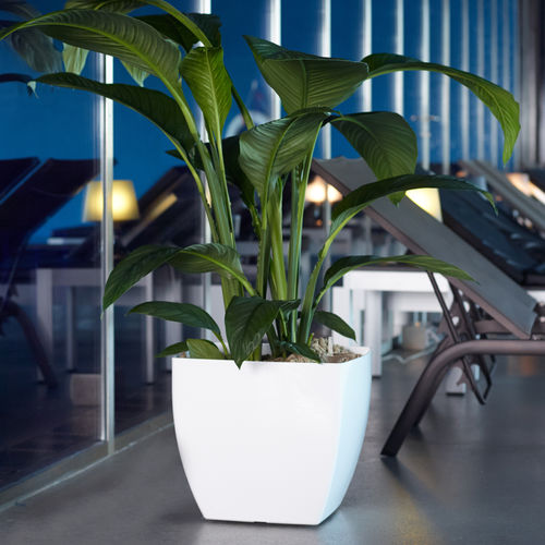 Polypropylene plant pot - SIENA - Artevasi, S.A - square / smart