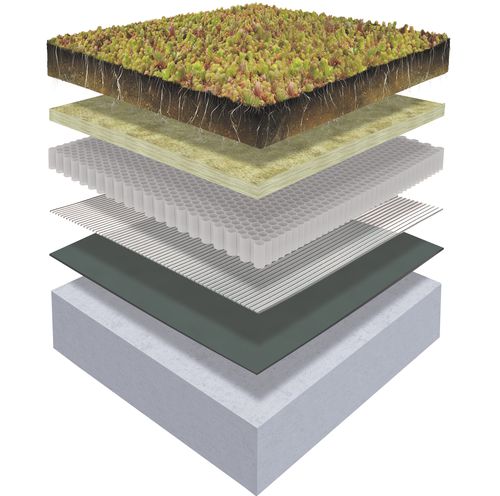 Extensive green roof system - Detention - Urbanscape - semi-intensive ...