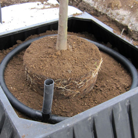 Public space root barrier - ROOTDIRECTOR - GreenBlue Urban Ltd - rigid