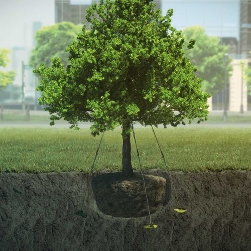 Cable tree anchoring - Ancrest - guy wire system