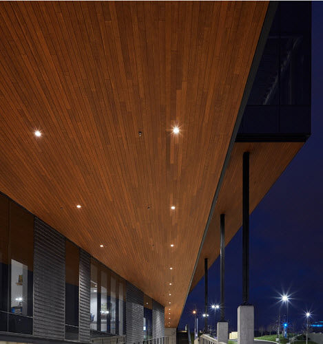 Bamboo soffit - ESO12-100-5TG-PSS - dasso