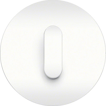 Light switch - R.classic - Berker - push-button / rotary / recessed