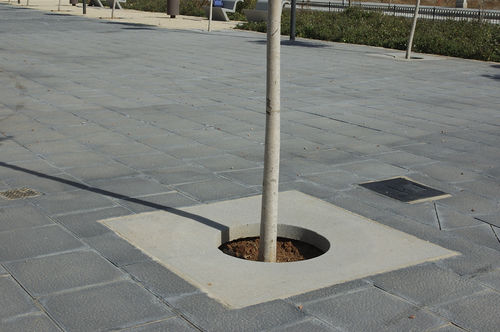 Square tree grate - ICARIA - Escofet - concrete