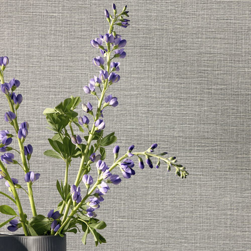 Interior wall-covering - HEADLINE - Knoll Textiles - olefin ... Interior wall-covering - HEADLINE - Knoll Textiles - olefin ...