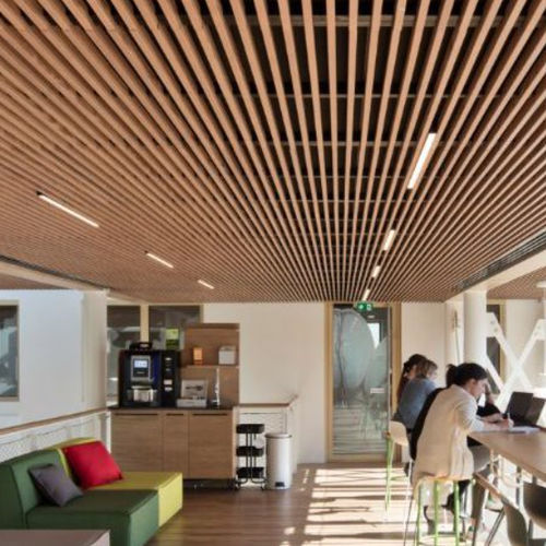 Solid wood suspended ceiling - LINEA 2.9.13 - LAUDESCHER - mineral wool ...