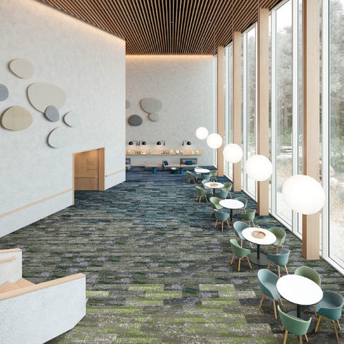 Carpet tile - TRANSFORM COLOUR - Shaw Contract - tufted / loop pile ...