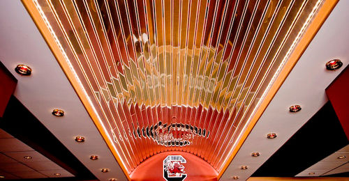 Chicago Metallic Linear Ceilings | Shelly Lighting