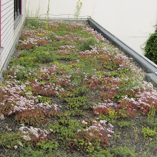 Protection waterproofing membrane - ROOFGARDEN - IKO - reinforcement ...