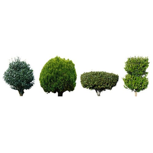 2D/3D object library - SHRUBS & TREES - DOSCH DESIGN