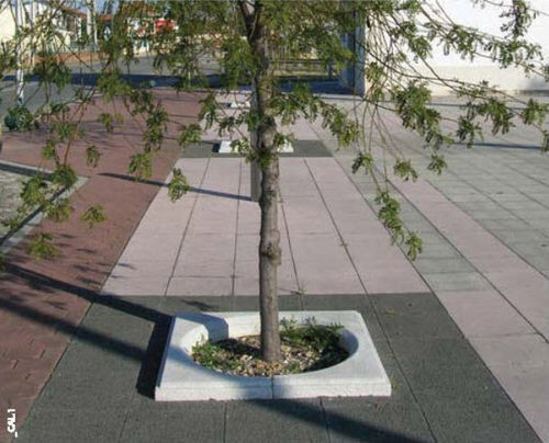 Square tree grate - SOLTAS : DAFOZ - A Amop Synergies - concrete