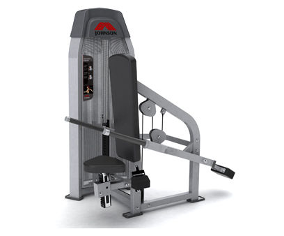 Back extension weight training machine - Johnson Fitness