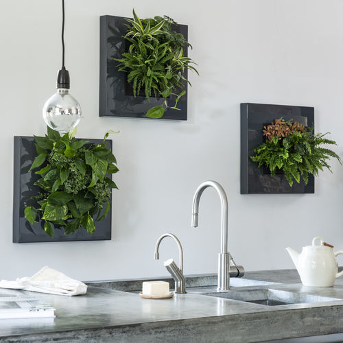 Living frame with live plants - LivePicture GO - Mobilane - natural ...