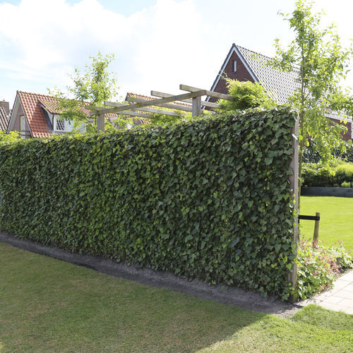 Metal grid fence - Green Screen - Mobilane - residential / steel ...