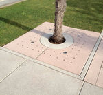 Tree grate - All architecture and design manufacturers