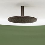 Ceiling-mounted shower head, Ceiling shower head - All architecture and ...