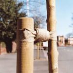 Rootball fixing system - All architecture and design manufacturers