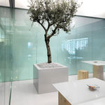 Glass panel, Architectural glass - All architecture and design ...