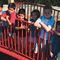 Playground bridge - BRIDGES - progressive design playgrounds