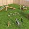 Dog obstacle course - progressive design playgrounds - high jump / walk ...