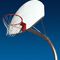 Outdoor basketball hoop - GOOSE NECK - progressive design playgrounds ...