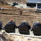 Basin stormwater management module - DUROMAXX® - Contech - in-ground