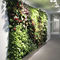 Preserved green wall - Green Urban Life GmbH - modular-panel / natural ...