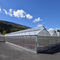 Commercial greenhouse - MULTIART - Europrogress - gardening / multi-tunnel / glass