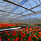 Commercial greenhouse - MULTIART - Europrogress - gardening / multi-tunnel / glass