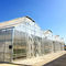 Commercial greenhouse - MULTIART - Europrogress - gardening / multi-tunnel / glass