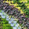 Green wall with live plants - VERSA WALL® XT™ - GSky Plant Systems, Inc ...