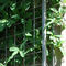 Green wall trellis - greenscreen - galvanized steel