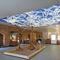 Printed stretch ceiling - PRINT YOUR MIND® - BARRISOL