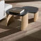 Contemporary coffee table - CLEO - Molteni&C - eucalyptus / oak / oak base