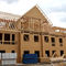 OSB construction panel - BLUE RIBBON® - Georgia Pacific - building