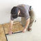 Thermal insulation - AMDRY SUBFLOOR - amvicsystem - expanded ...