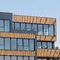 Bio-based cladding - SMART 2, 4, 9 & 20 - NEOLIFE - strip / in wood ...